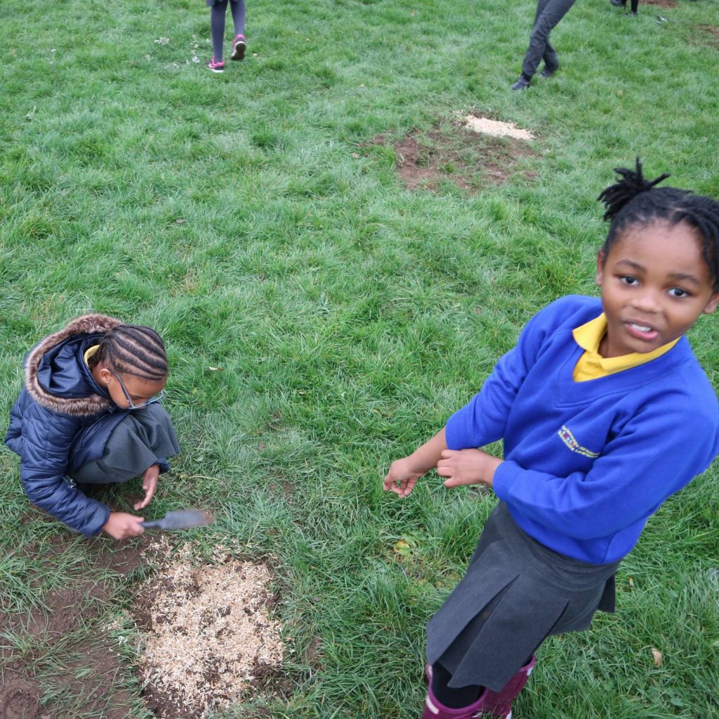 Green Tree School Project - Devonshire Hill Nursery and Primary School