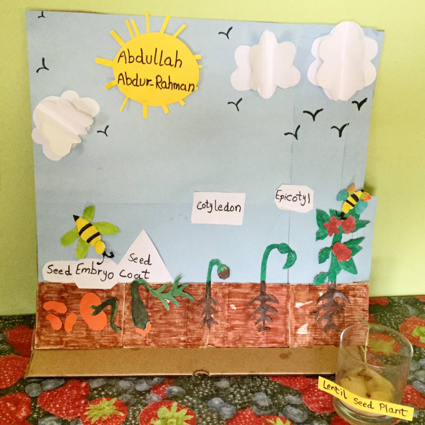 Summer 1 Home Learning Projects - Devonshire Hill Nursery and Primary ...